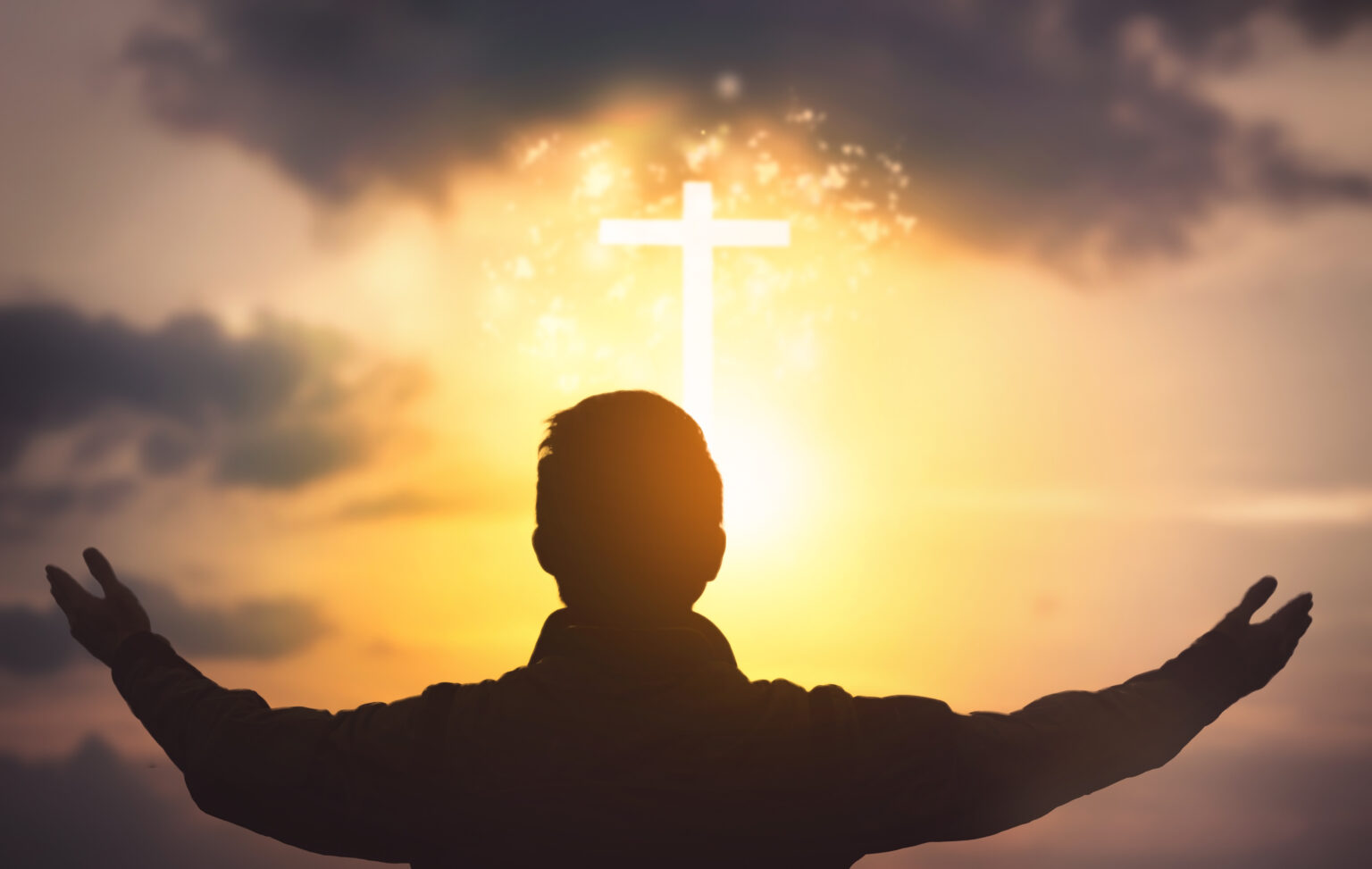 The Mission is Everything - Restore Minnesota